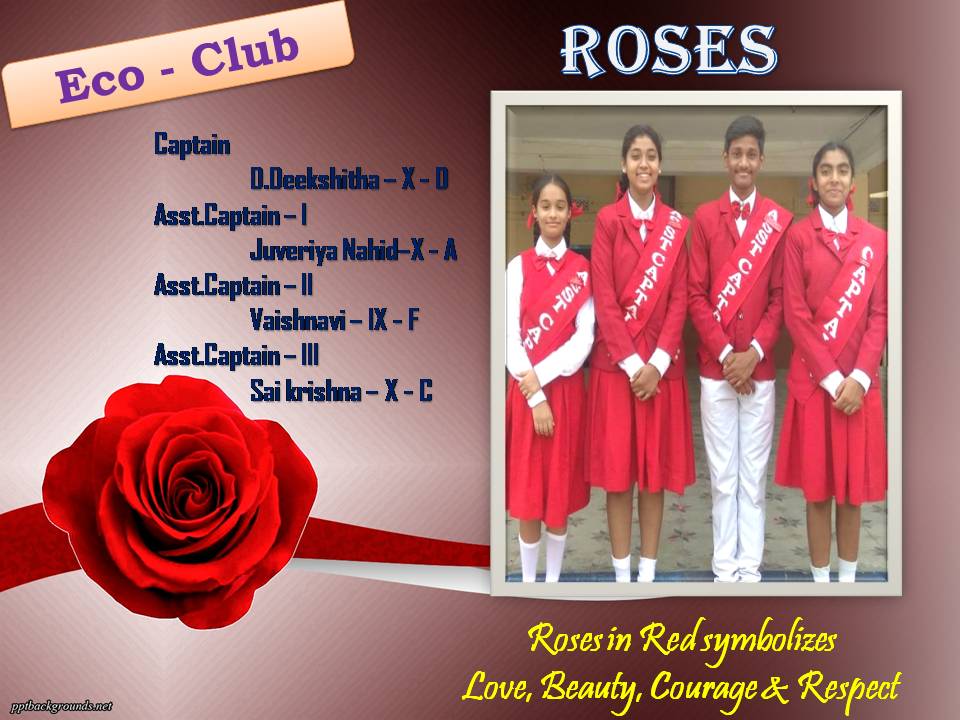 St.Pius X High School- House System